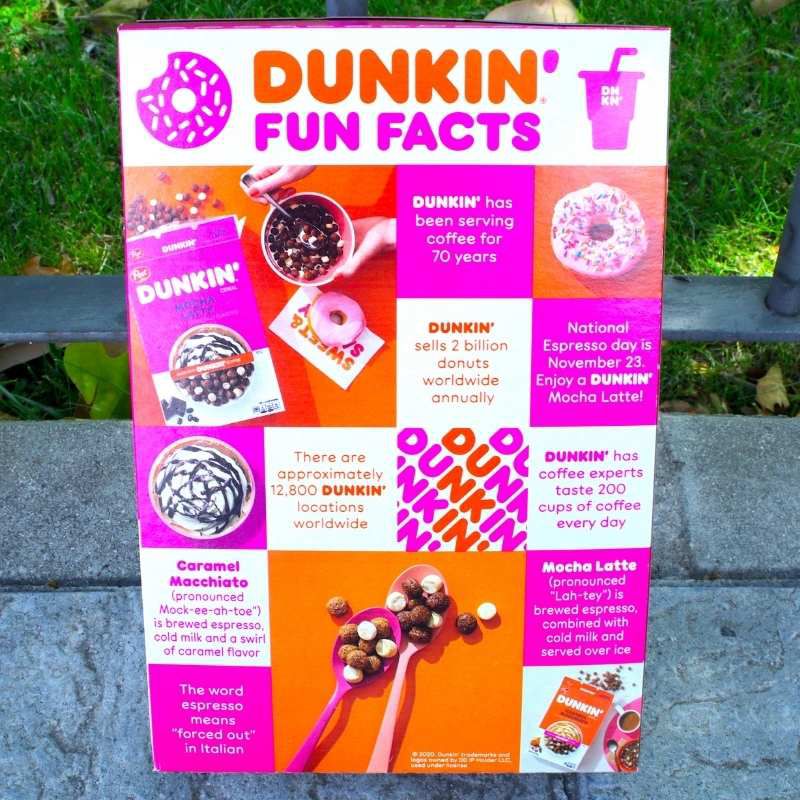 Dunkin donuts mocha latte 311g Dunkin donuts mocha latte 311g